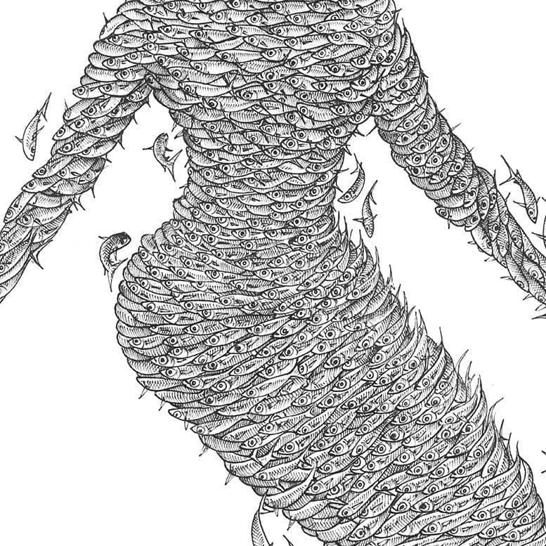"Bait Baller Mermaid" Fine Art Paper Print - Steve Diossy Marine Artist