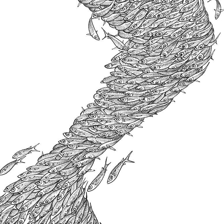 "Bait Baller Mermaid" Fine Art Paper Print - Steve Diossy Marine Artist
