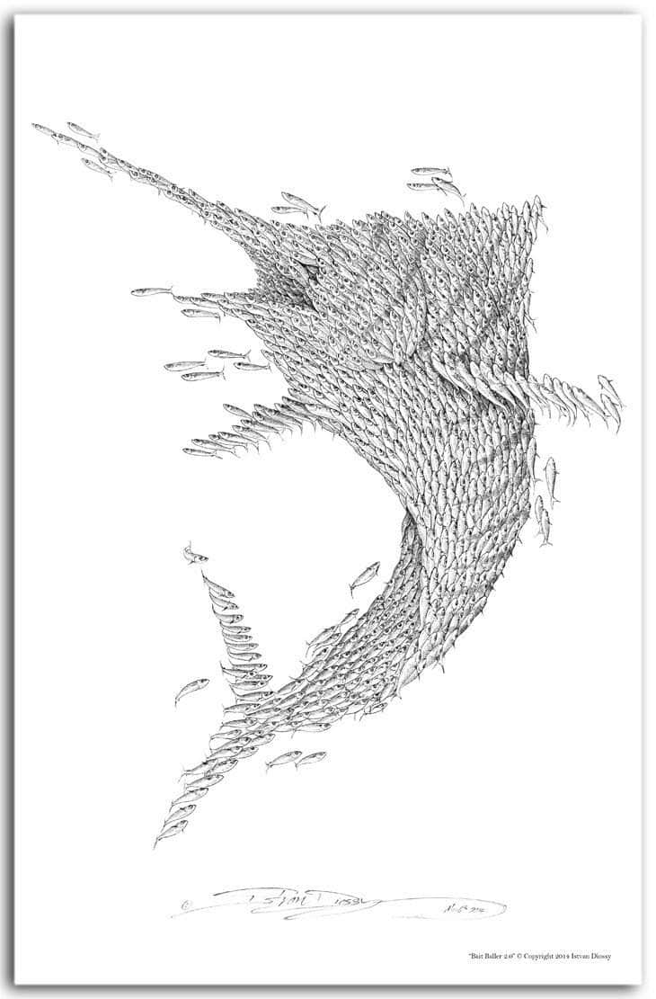"Bait Baller 2.0" Fine Art Paper Print - Steve Diossy Marine Artist